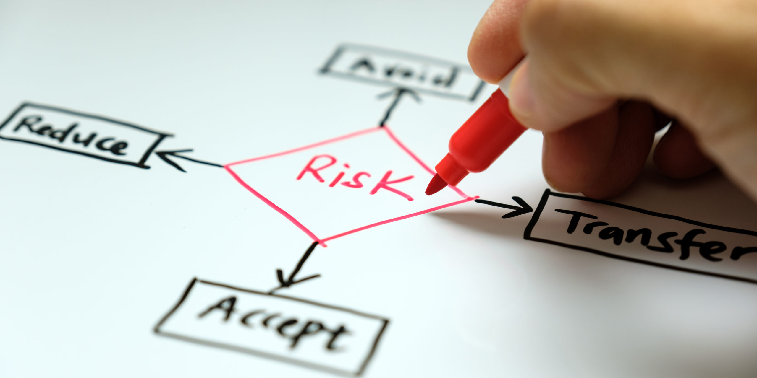 Alternative Risk Techniques - Hertvik Insurance Group Alternative Risk Techniques - Hertvik Insurance Group